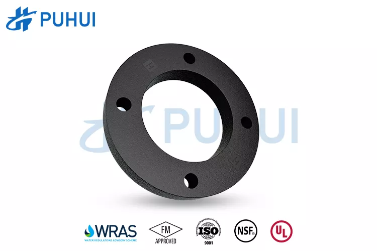 PP Flange - Puhui Industry
