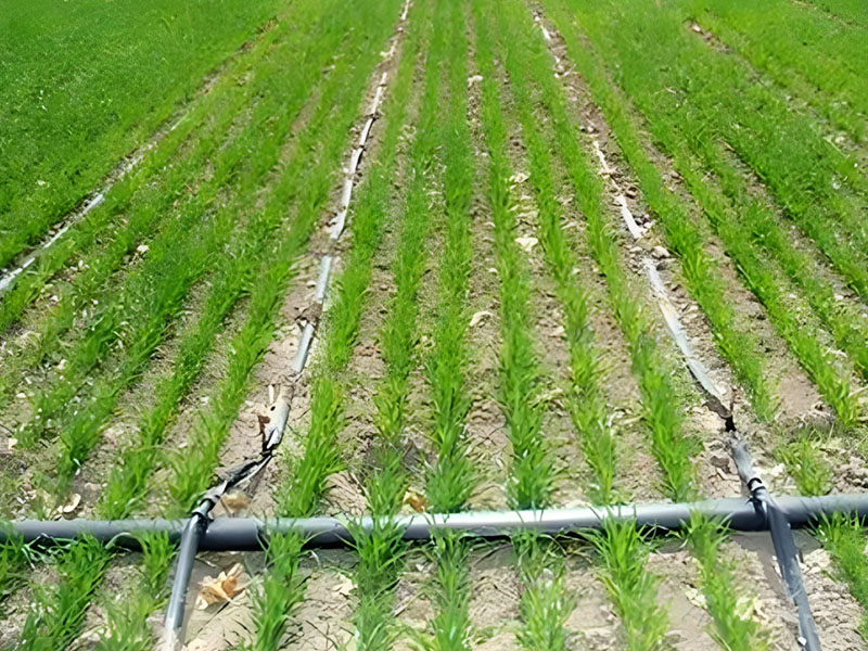 Above ground irrigation pipe - Puhui Industry